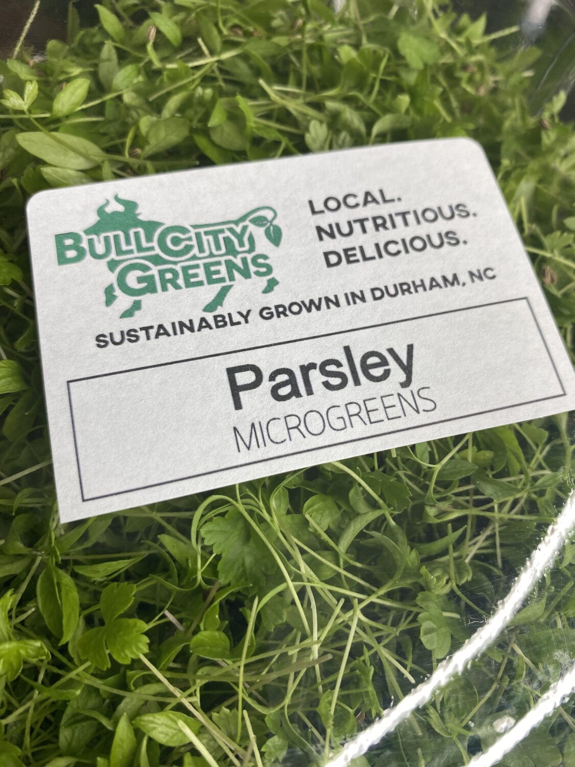 Parsley Microgreens - Shop Carolina - NC Gifts & SC Gifts